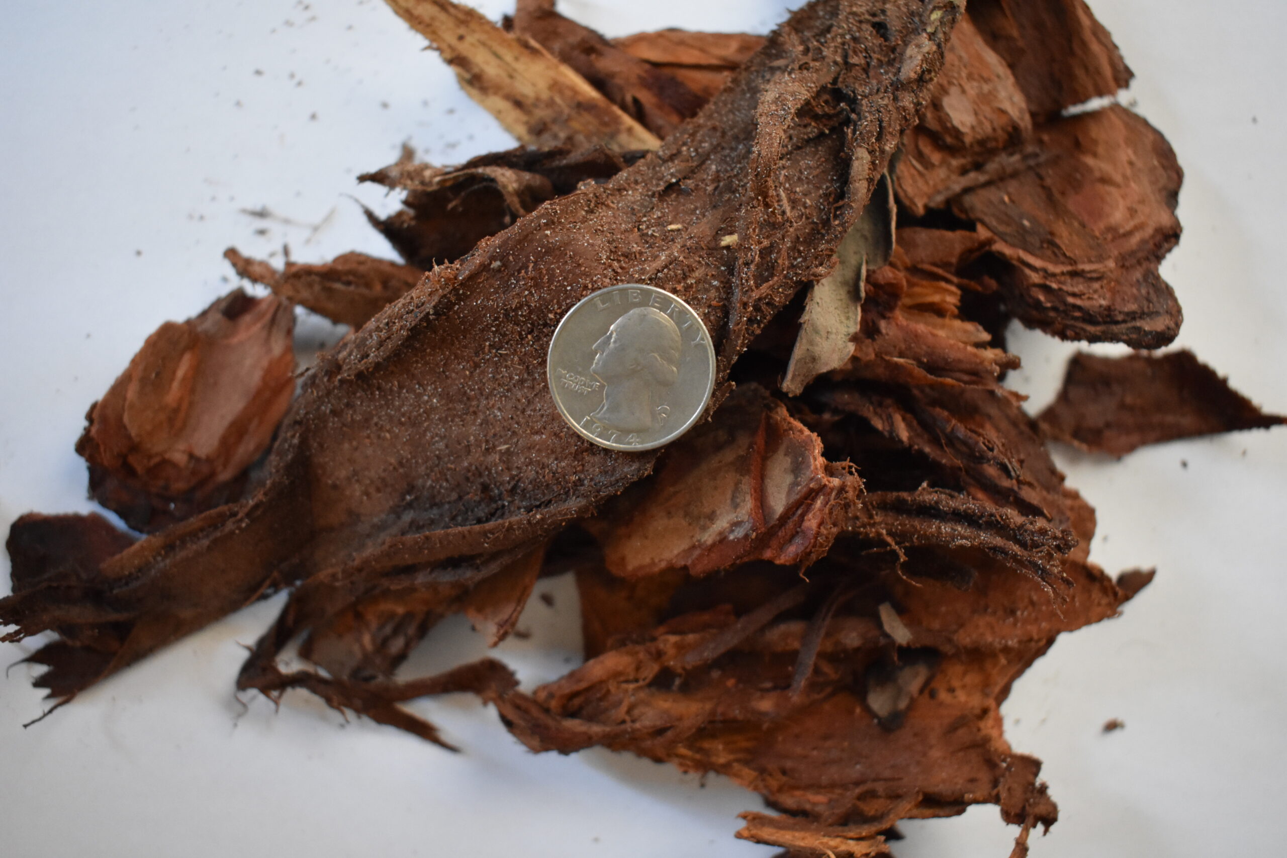 Pine Nugget Bagged Mulch Columbus, OH | Kurtz Bros Central Ohio