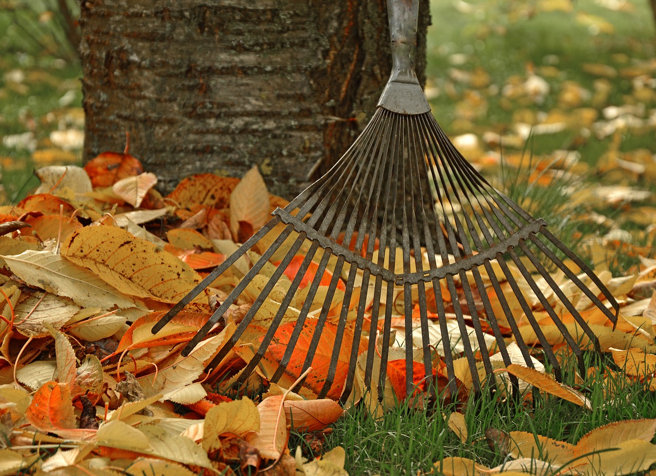 Fall Planting & Pruning | Kurtz Bros - Central Ohio LLC